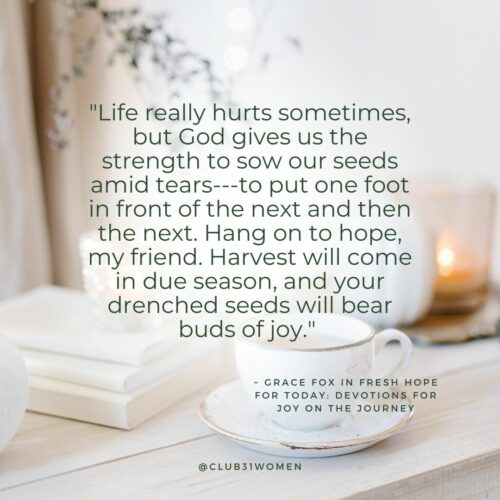 A New Devotional Offering Hope: 90 Devotions to Bring Joy and Refresh ...