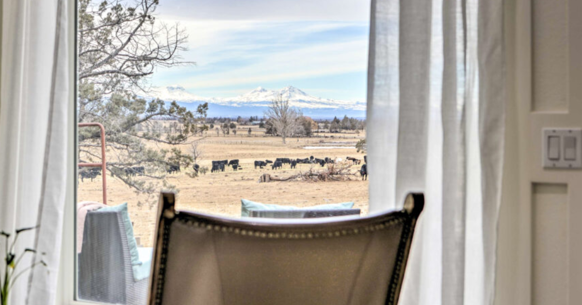 How Hosting a Guesthouse Has Taught Me So Much About Hospitality ...