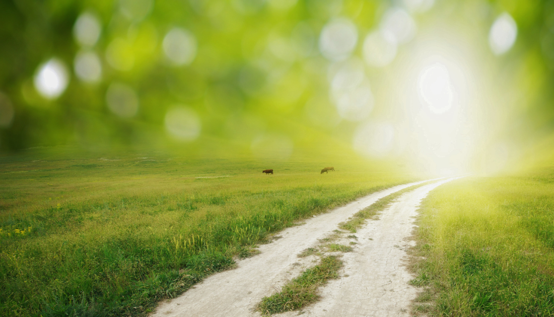 Two Voices Calling: How to Discern Between Wisdom and Folly - Club31Women