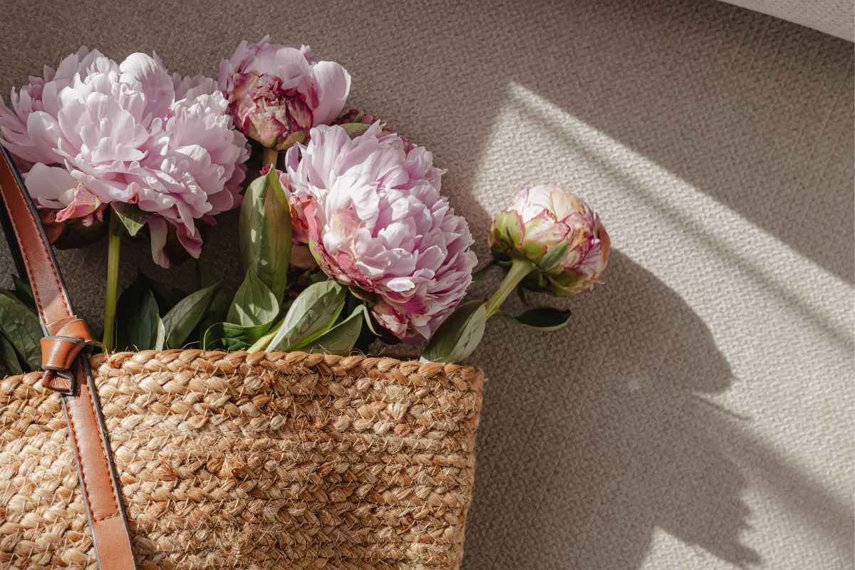 Letting Go Of the Outcome and Trusting God With the Unknown - Club31Women